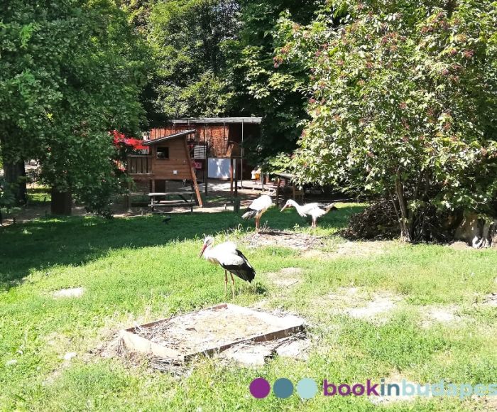 Mini zoológico de Isla Margarita