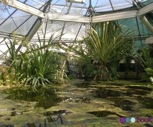 Füvészkert - ELTE Botanikus Kertje