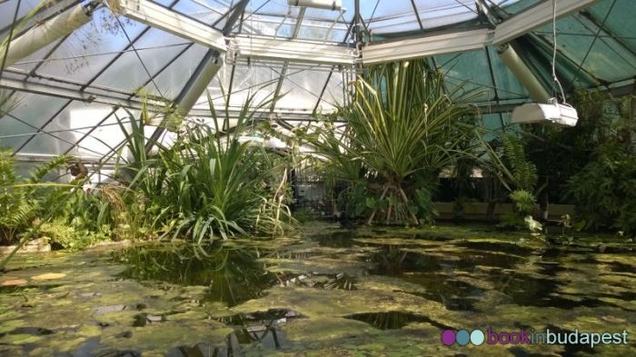 Füvészkert - ELTE Botanikus Kertje